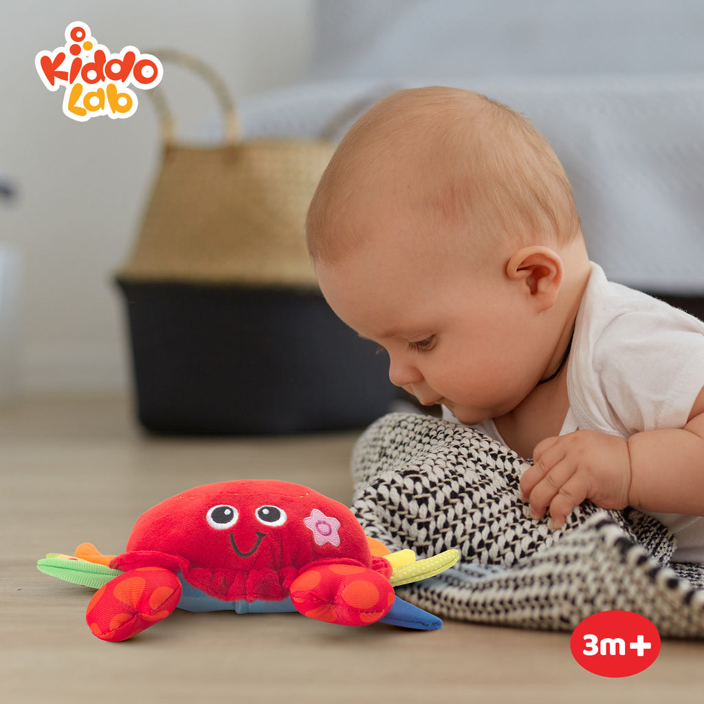 Shake 'N Dance Pals Crab: Musical Dancing Toy for Babies 3 Months+ ...